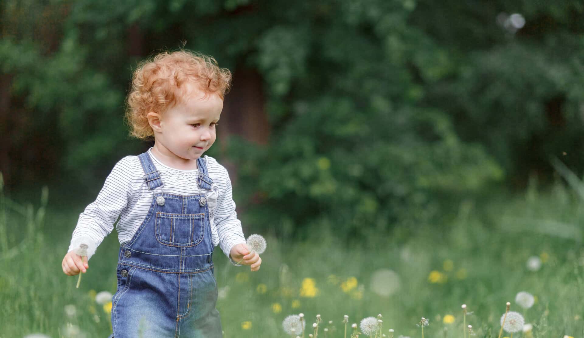 Family First Nurseries Group | Childcare Nurseries & Preschool